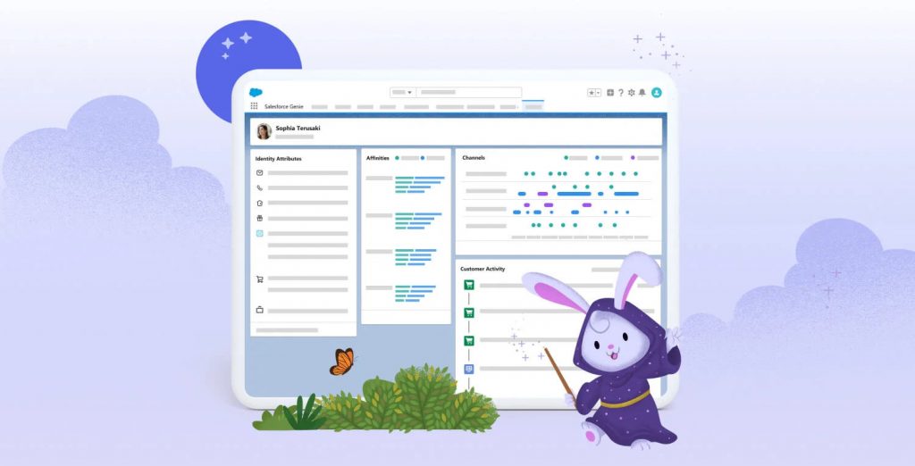 What Is Salesforce Genie Customer Profile Salesforce Türkiye Yetkili